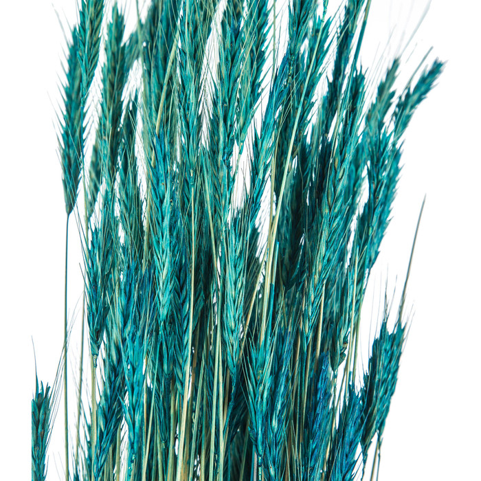 Turquoise Maton Grass | Hobby Lobby | 558643